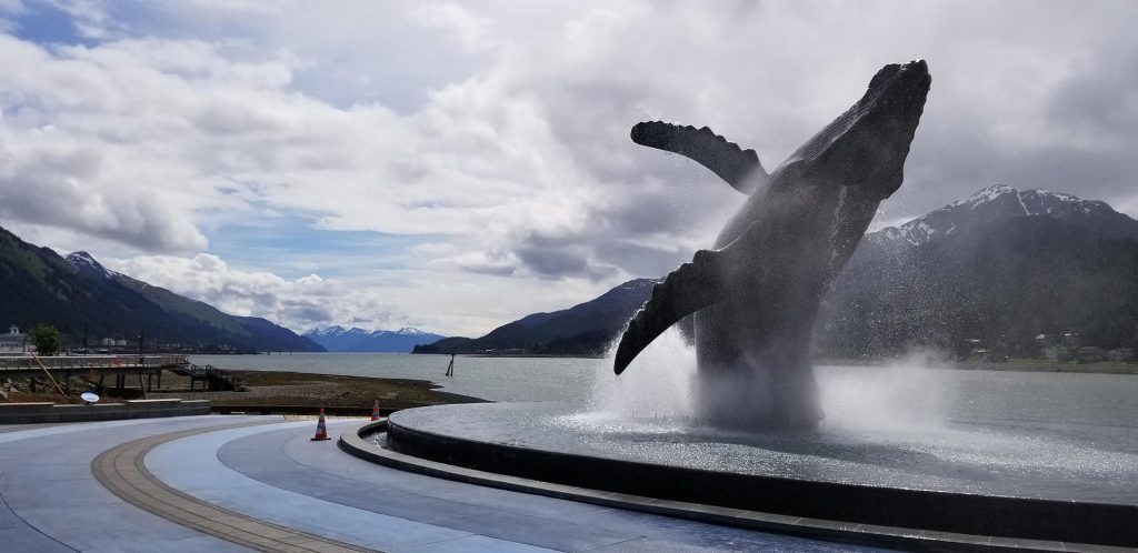 The Whale Project - Navona Placemaking